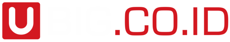 UBIG - Perusahaan Pengembang Perangkat Lunak